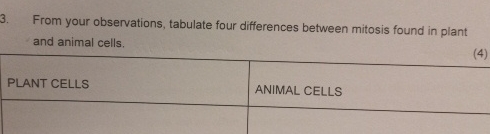 Solved From your observations, tabulate four differences | Chegg.com