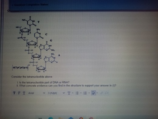 Solved Dramme actpepepay Consider the tetranucleotide above | Chegg.com