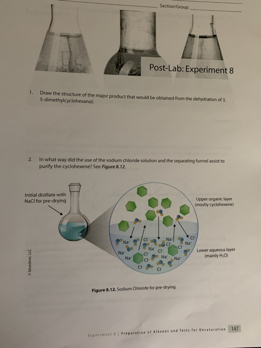 Solved Section/Group: Post-Lab: Experiment 8 1. Draw the | Chegg.com