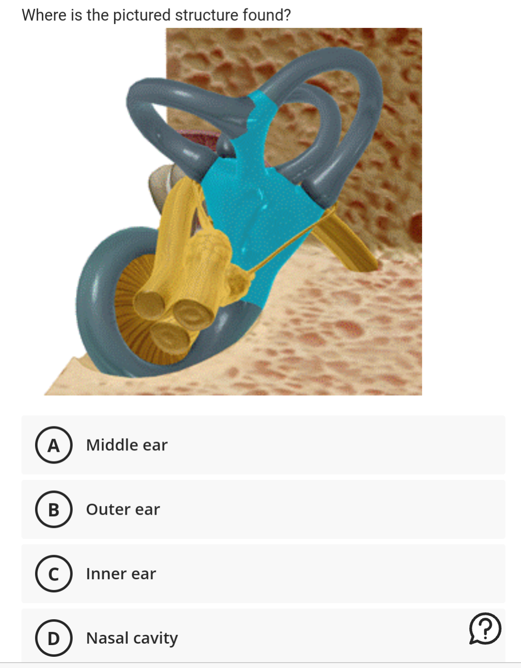 Solved 1. When you stand on a foam pad with eyes closed in a | Chegg.com