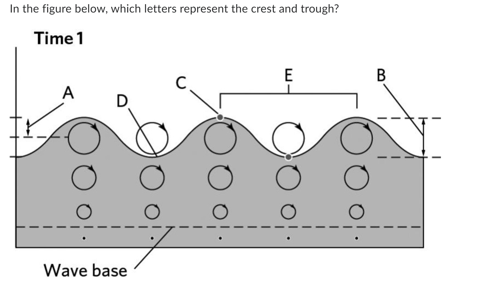 Solved In the figure below, which letters represent the | Chegg.com