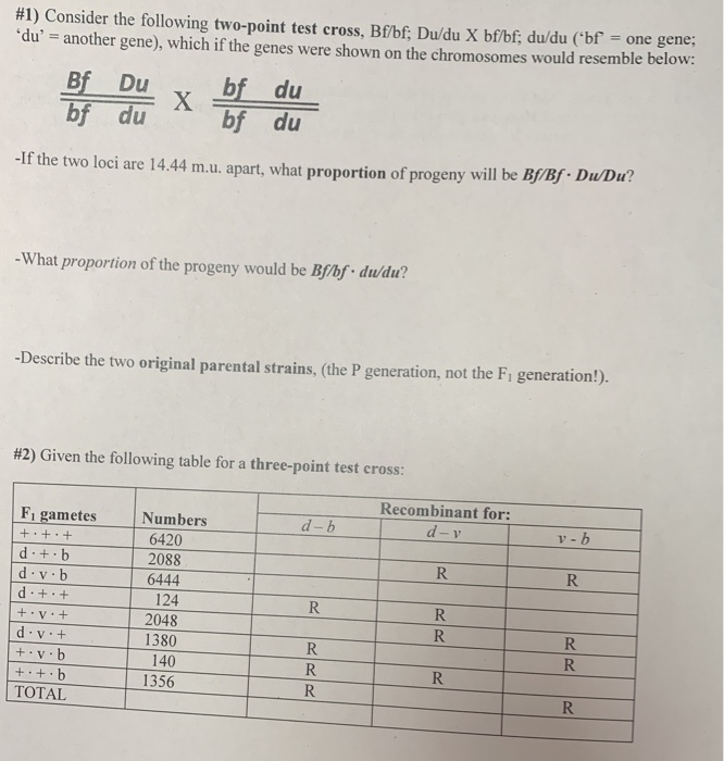 Solved #1) Consider the following two-point test cross, | Chegg.com