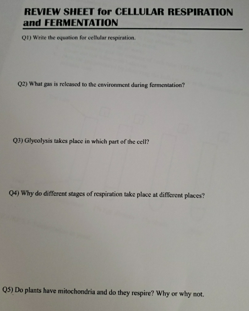Solved REVIEW SHEET for CELLULAR RESPIRATION and | Chegg.com