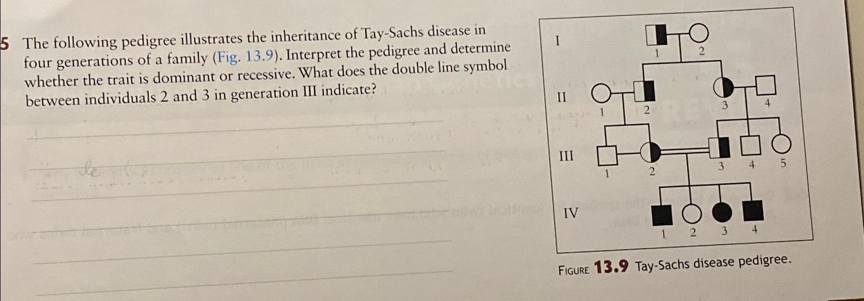 Solved 5 ﻿The following pedigree illustrates the inheritance | Chegg.com