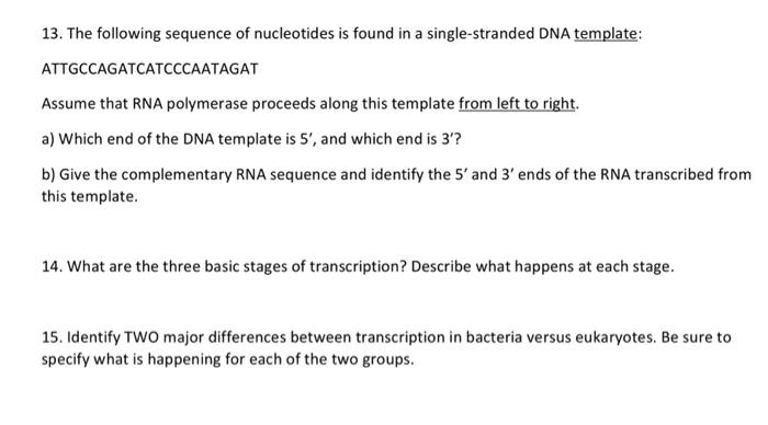 Solved 13. The following sequence of nucleotides is found in | Chegg.com