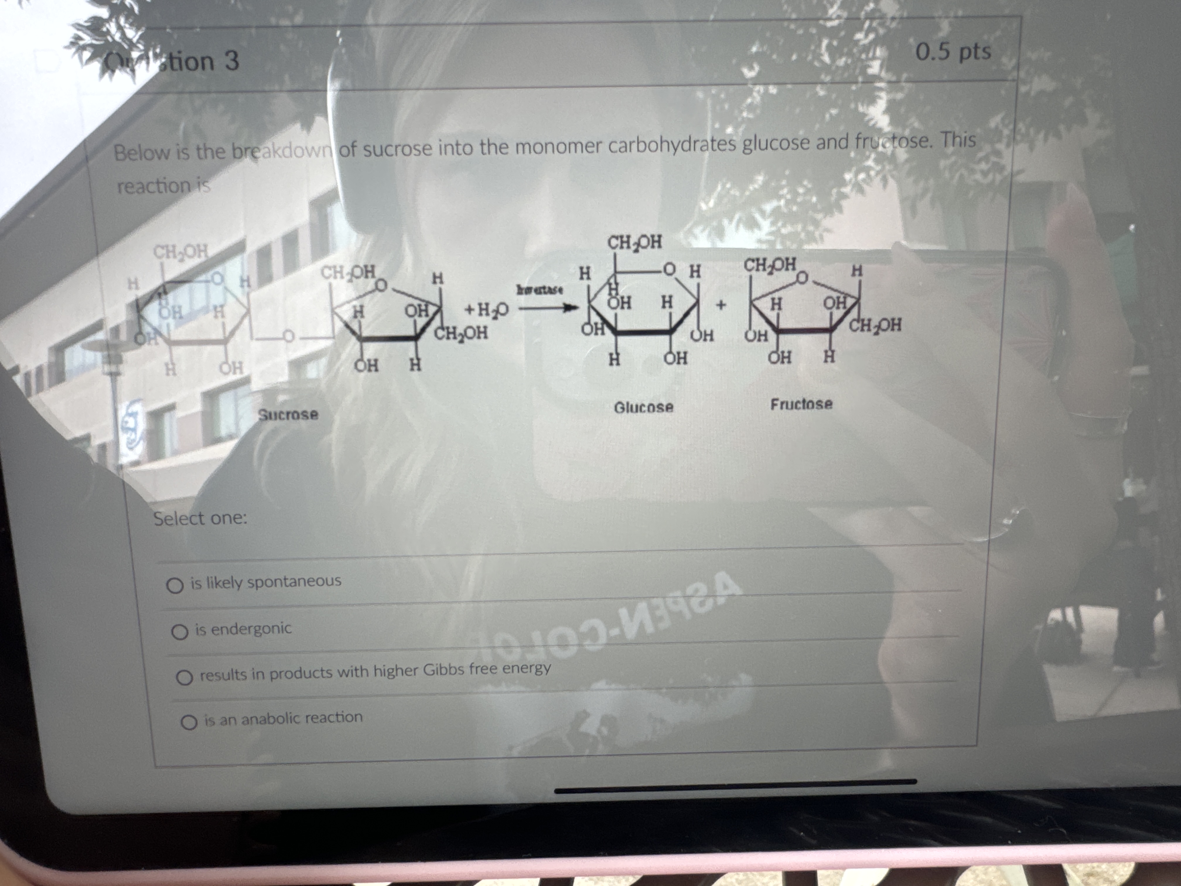 Solved Below is the breakdown of sucrose into the monomer | Chegg.com