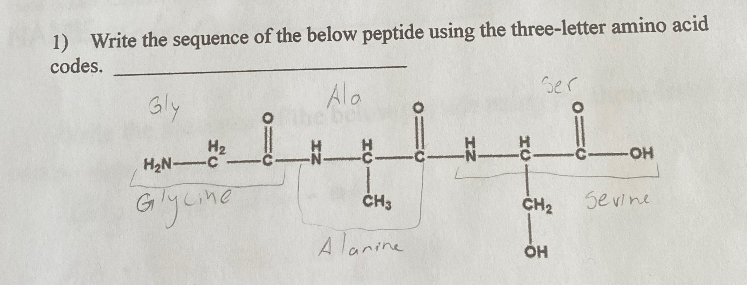 Solved Write the sequence of the below peptide using the | Chegg.com