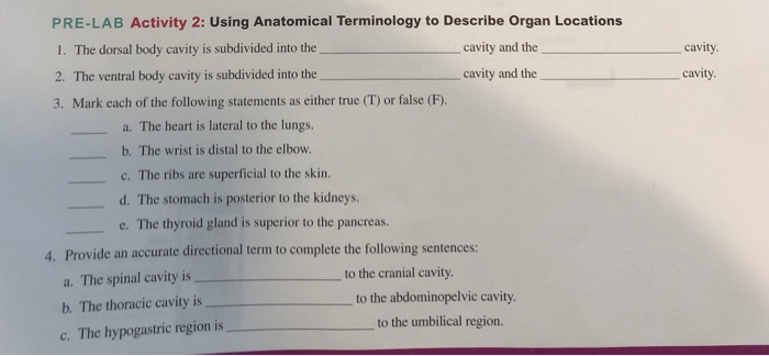 Solved cavity cavity. PRE-LAB Activity 2: Using Anatomical | Chegg.com
