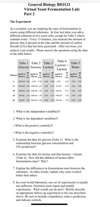 Solved General Biology BIO121 Virtual Yeast Fermentation | Chegg.com
