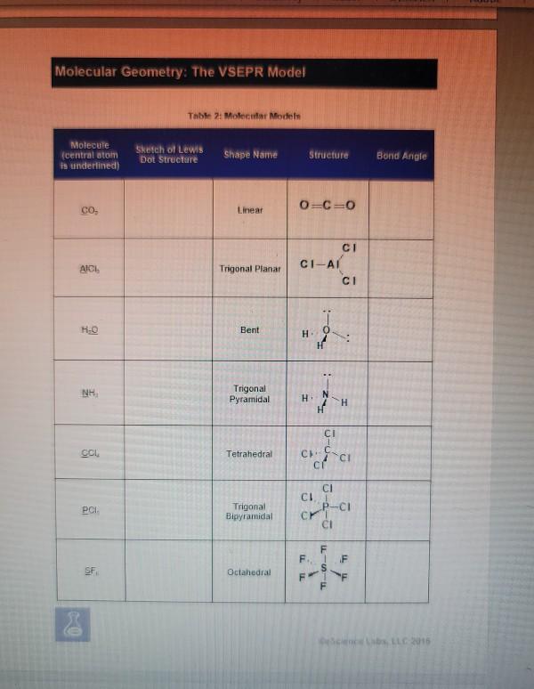 Solved Molecular Geometry: The VSEPR Model Table 2: | Chegg.com