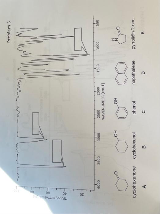 Solved methyl propiolate A A cyclobutylcarboxylic acid B | Chegg.com