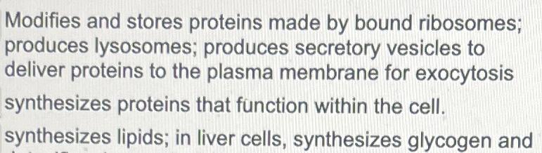 Solved Modifies and stores proteins made by bound ribosomes; | Chegg.com
