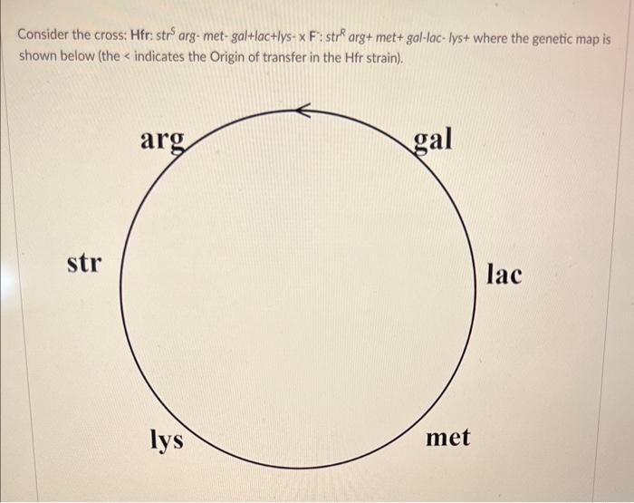 Solved Consider the cross: Hfr: str 5 arg- met- gal+lactlys- | Chegg.com