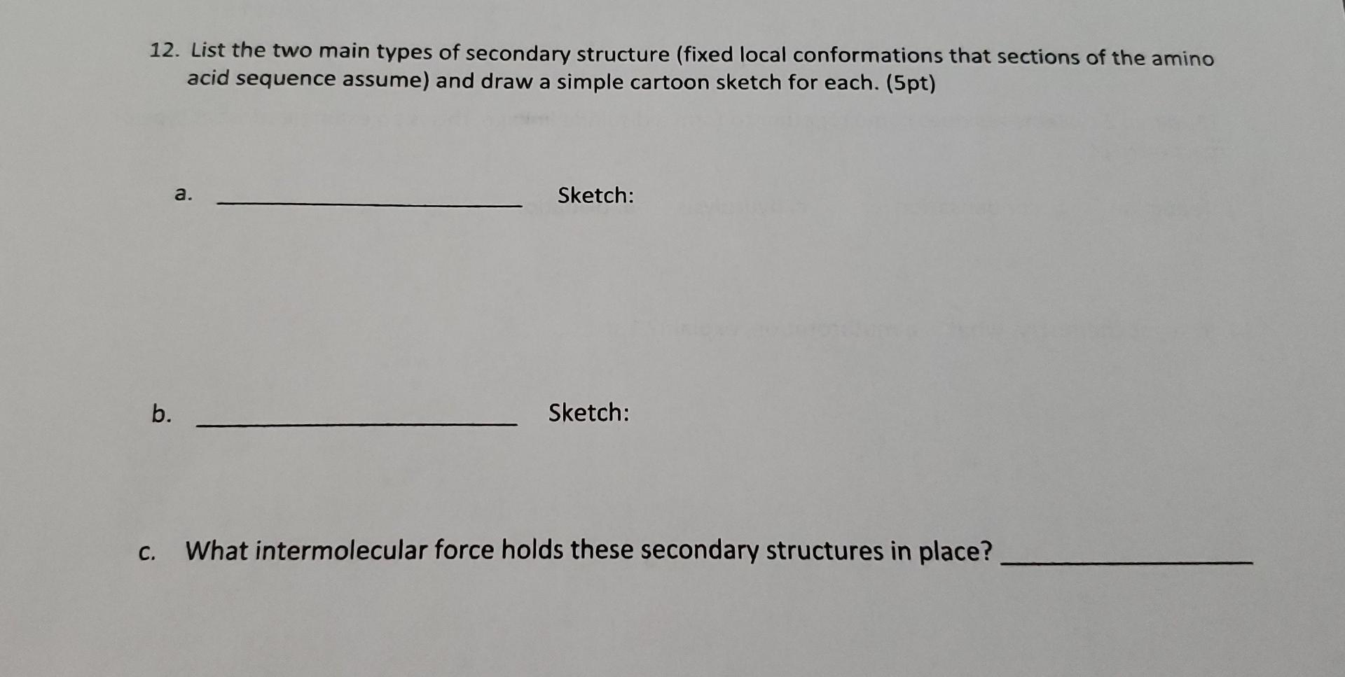 Solved 12. List the two main types of secondary structure | Chegg.com