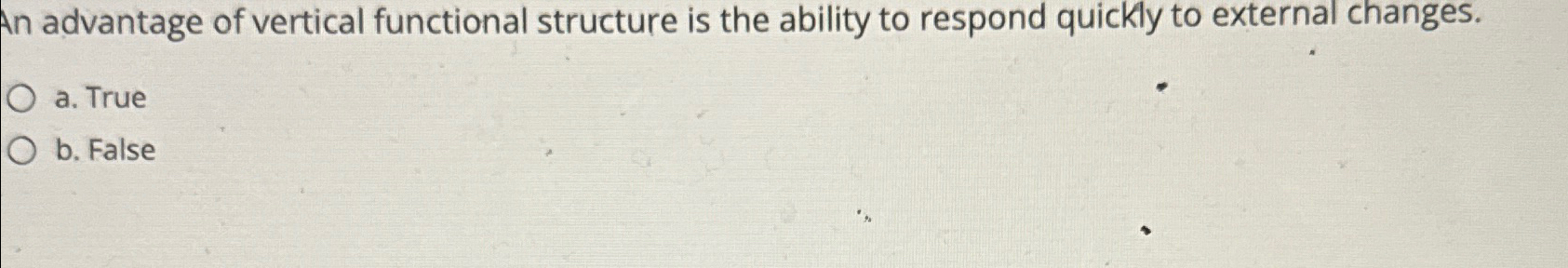 Solved An advantage of vertical functional structure is the | Chegg.com