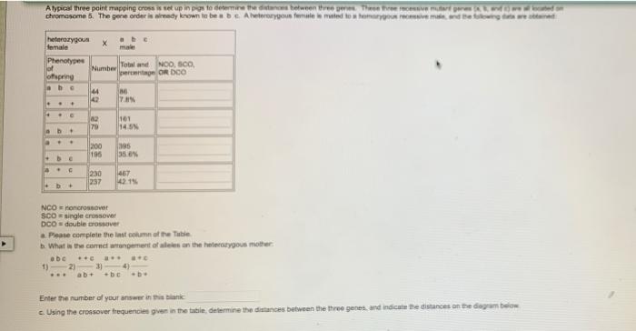 Solved A typical three point mapping cross is set up in | Chegg.com