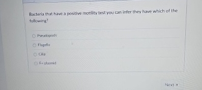 Solved Bacteria that have a positive motility test you can | Chegg.com