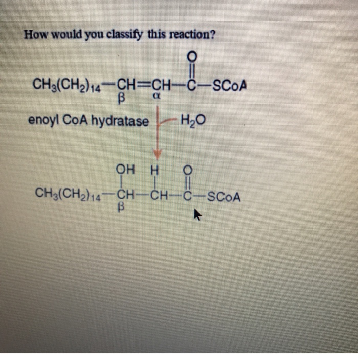 Solved How would you classify this reaction? 0 CH3(CH2) | Chegg.com