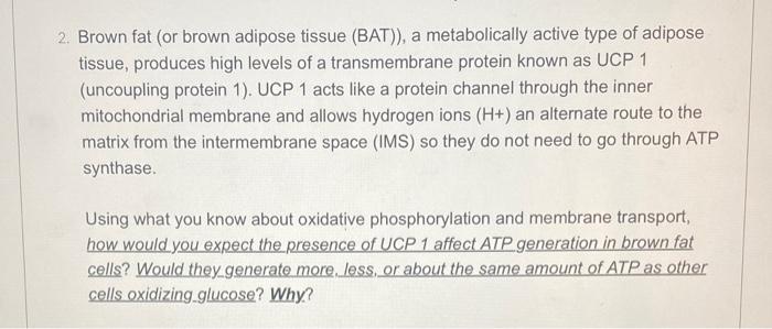 Solved 2. Brown fat (or brown adipose tissue (BAT)), a | Chegg.com