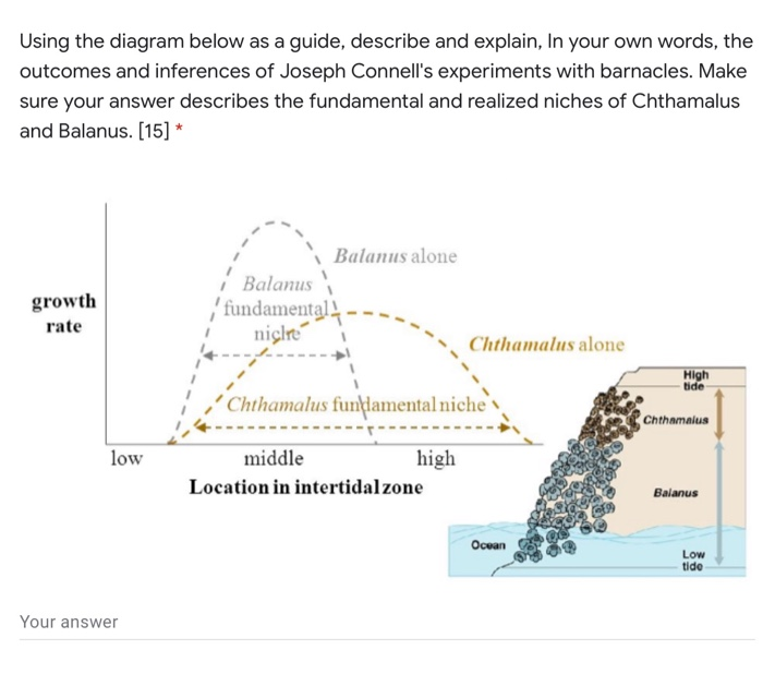 Solved Using the diagram below as a guide, describe and | Chegg.com