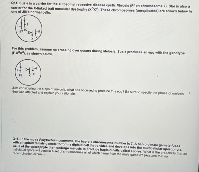 Solved Q9. Under each cell below, identify the meiosis phase | Chegg.com