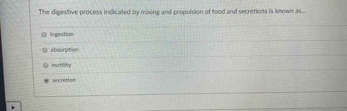 Solved The digestive process indicated by mixing and | Chegg.com