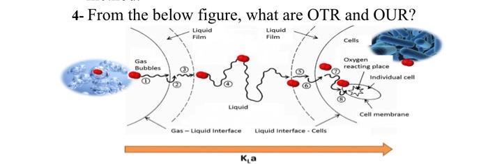 Solved 4- From the below figure, what are OTR and OUR? | Chegg.com