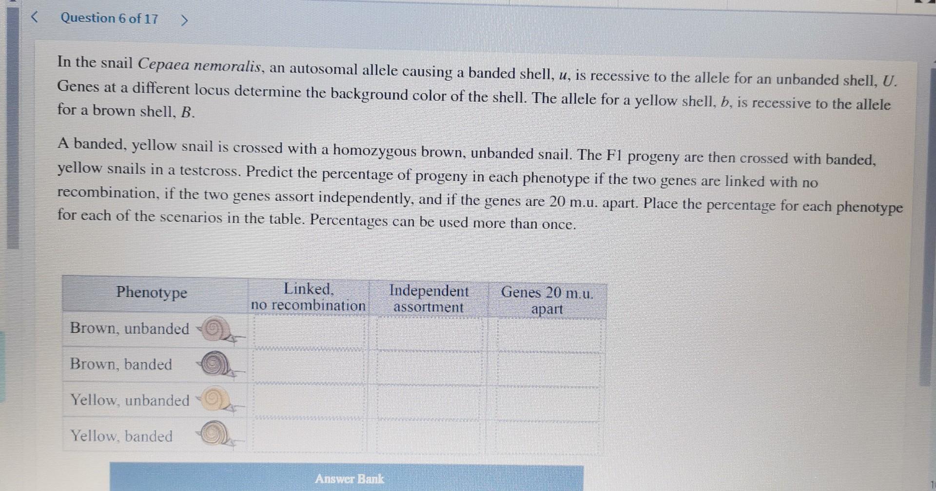 Solved In the snail Cepaea nemoralis, an autosomal allele | Chegg.com
