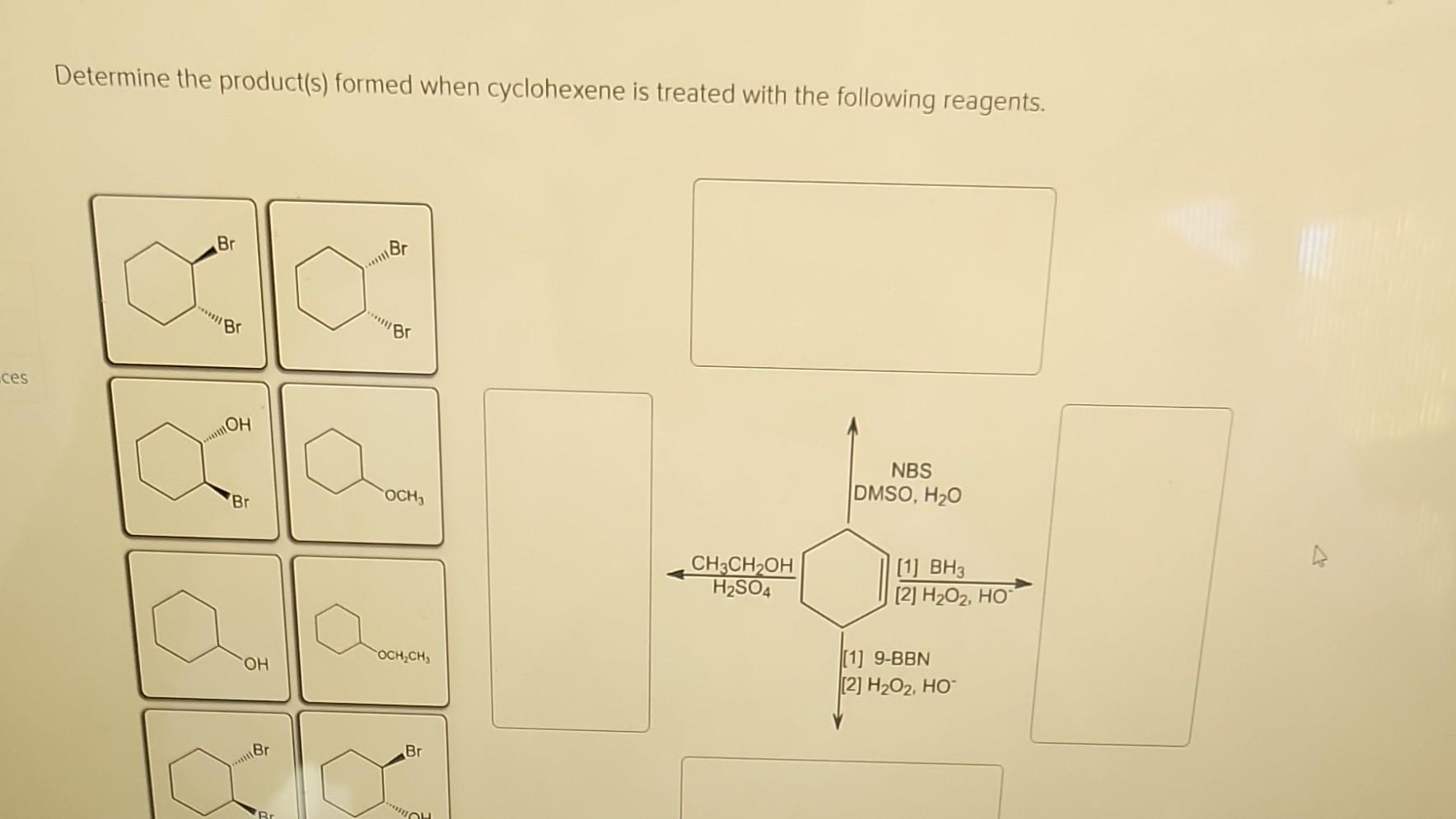 Solved Determine the product(s) formed when cyclohexene is | Chegg.com