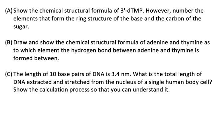 Solved (A) Show the chemical structural formula of 3'-dTMP. | Chegg.com
