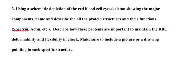 Solved 3. Using a schematic depiction of the red blood cell | Chegg.com