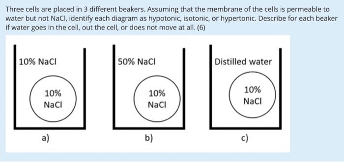 Solved Three cells are placed in 3 different beakers. | Chegg.com