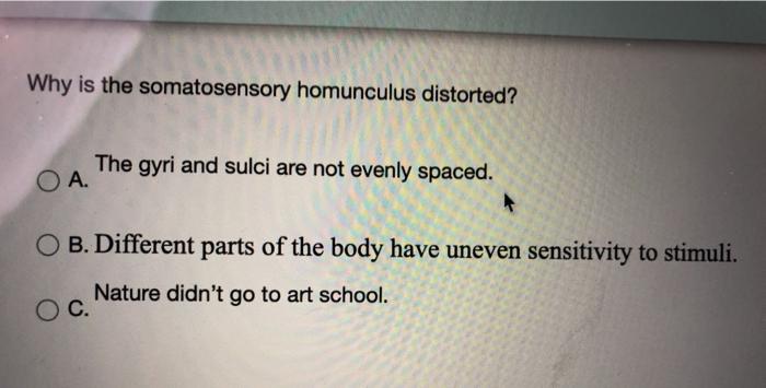 Solved Why is the somatosensory homunculus distorted? The | Chegg.com