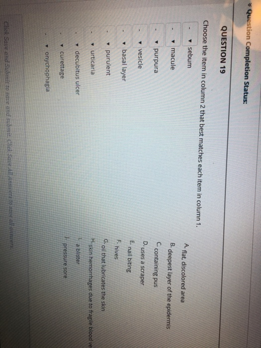 Solved Question Completion Status: QUESTION 19 Choose the | Chegg.com