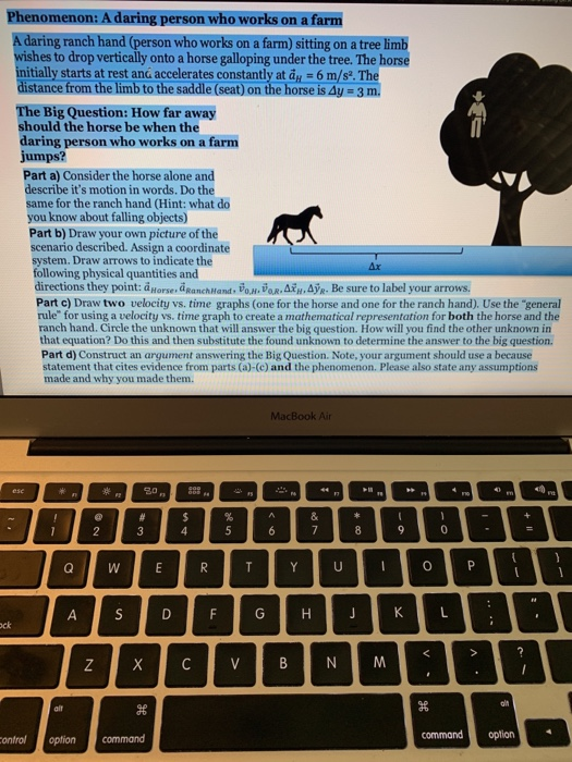 Solved Phenomenon: A daring person who works on a farm A | Chegg.com