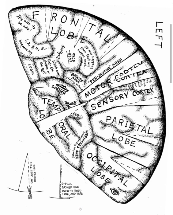 Make a "hemisphere hat" (it could also be a life-size | Chegg.com