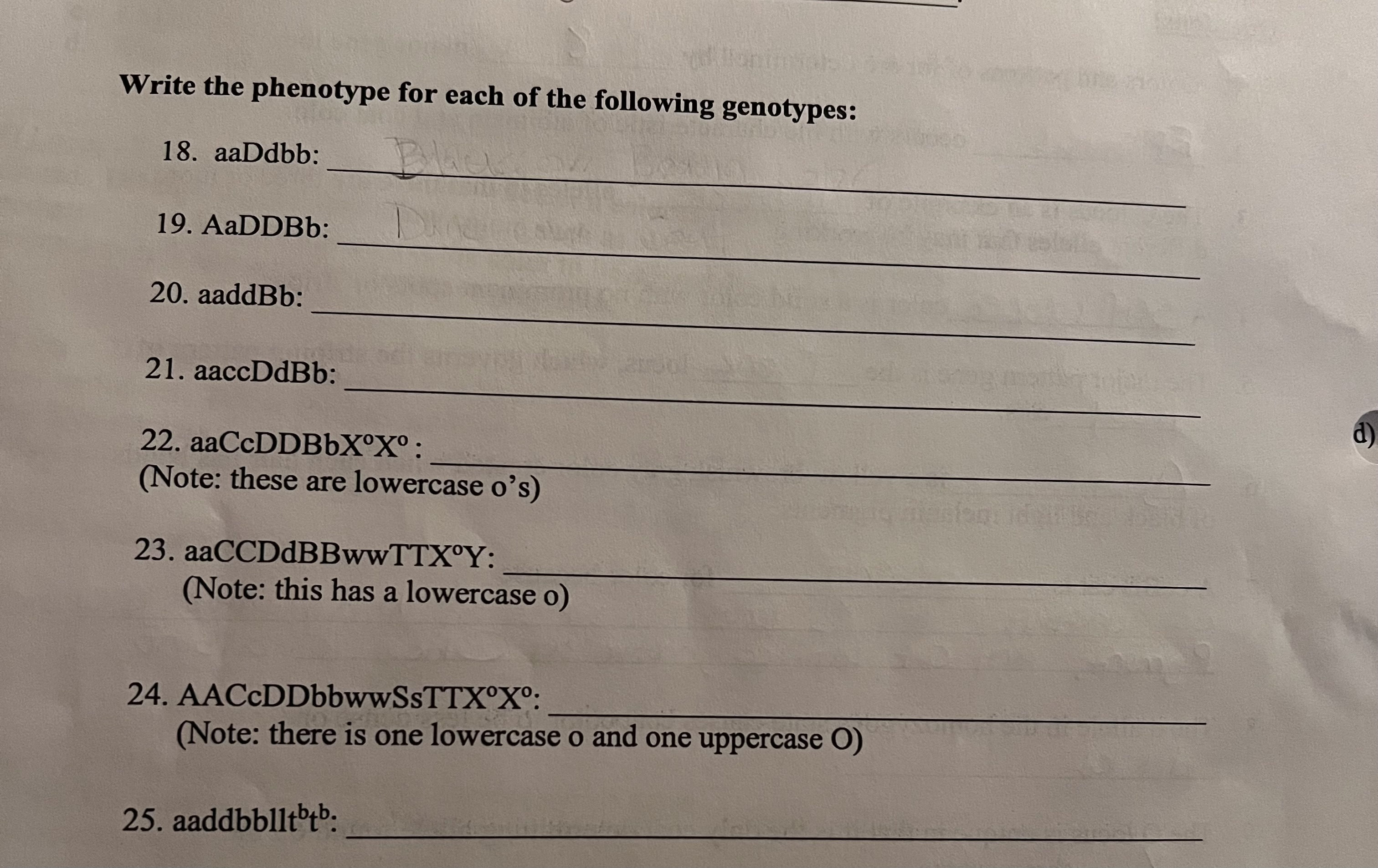 Solved Write the phenotype for each of the following | Chegg.com