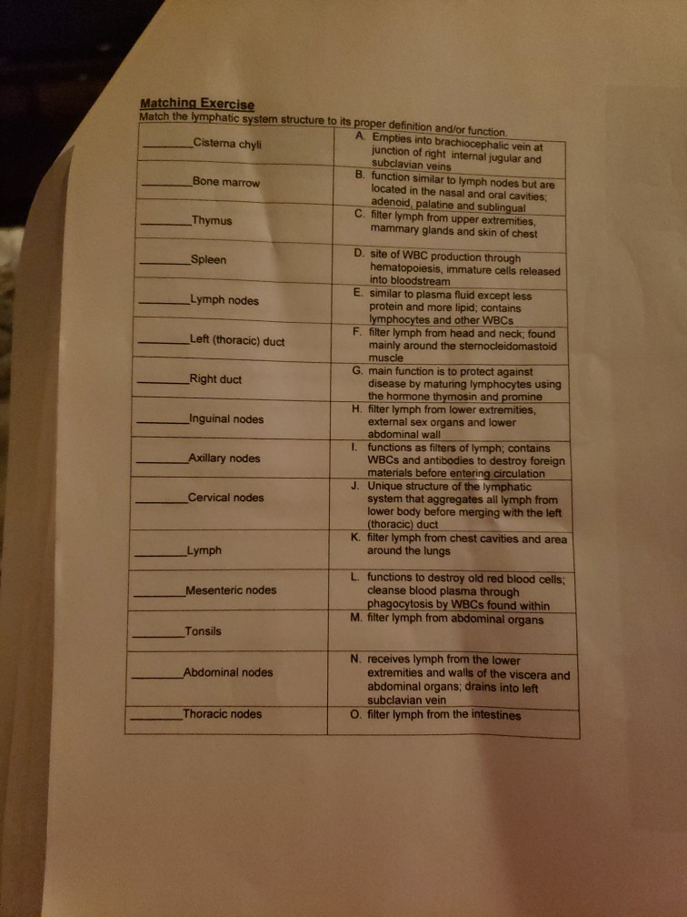 Solved Matching Exercise Match the lymphatic system | Chegg.com