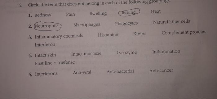 Solved 5. Circle the term that does not belong in each of | Chegg.com