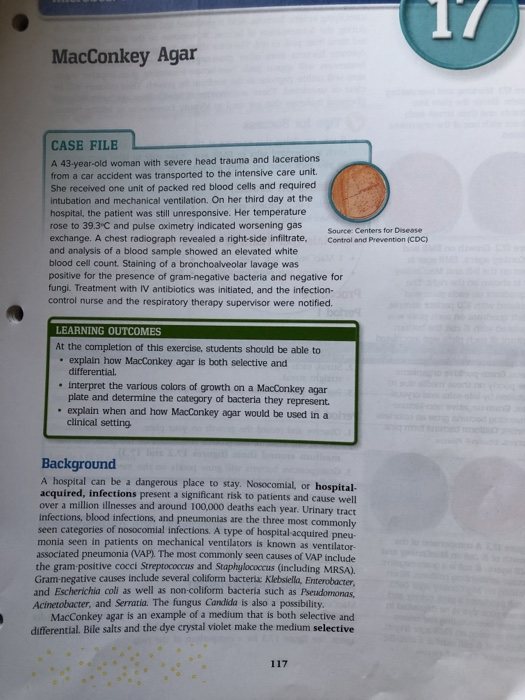 Solved TOT Zoo Add Page Insert Table Chart Text Shape Media | Chegg.com
