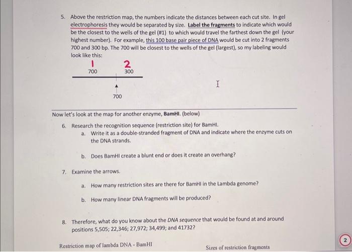 You should be able to answer these questions based on | Chegg.com