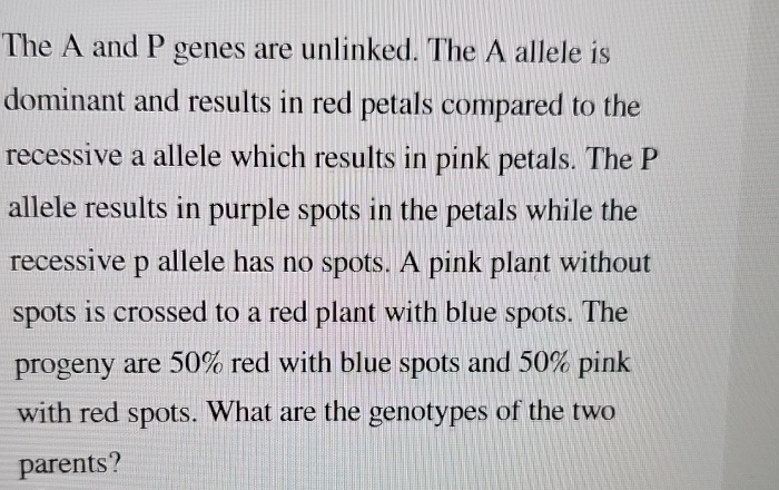Solved The A and P ﻿genes are unlinked. The A allele is | Chegg.com
