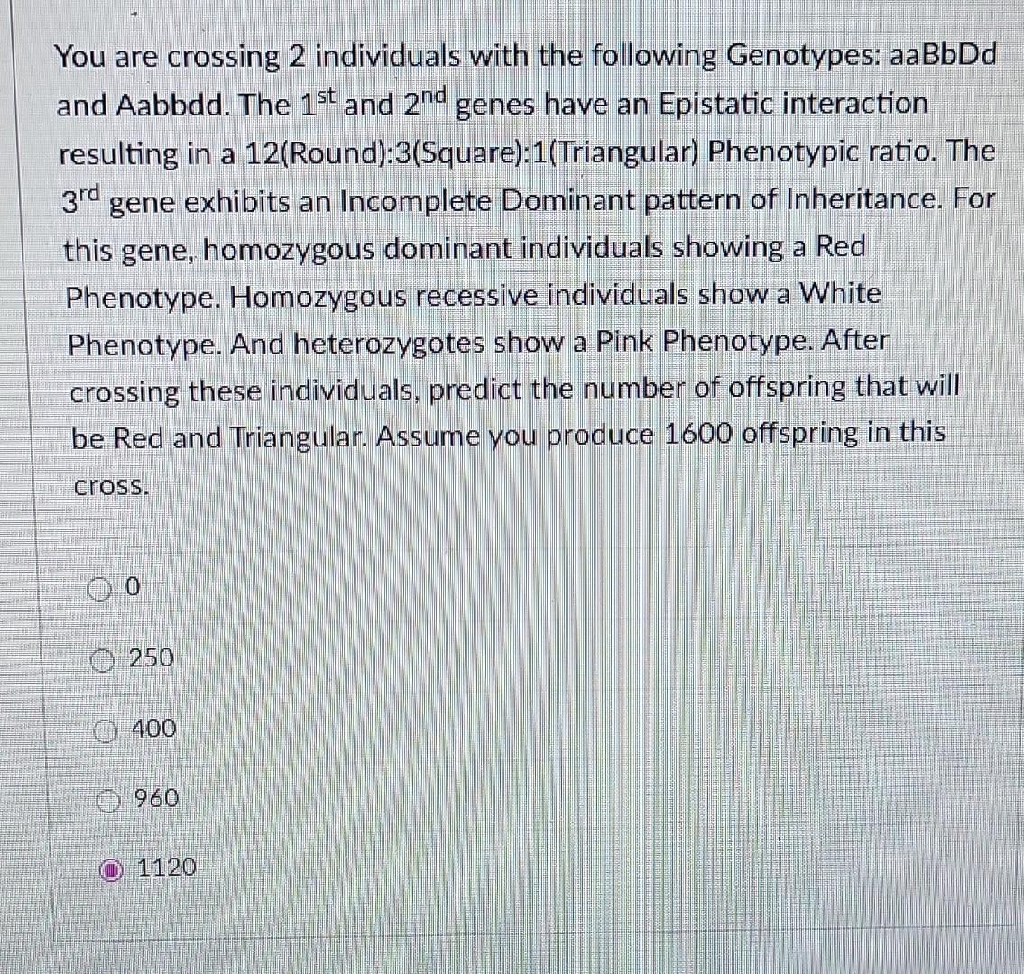 Solved You are crossing 2 individuals with the following | Chegg.com