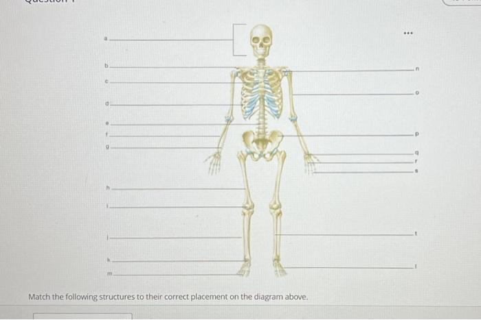 Solved 1. An oleic acid, C17H33COOH(282 g/mol), solution is | Chegg.com