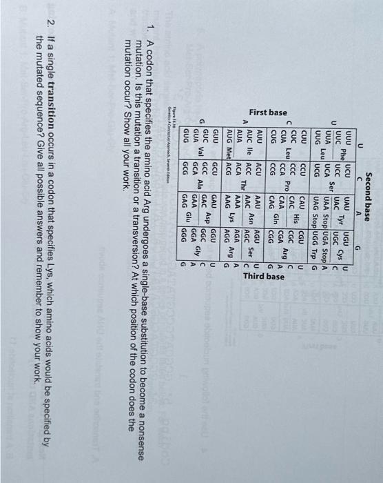 Solved 1. A codon that specifies the amino acid Arg | Chegg.com