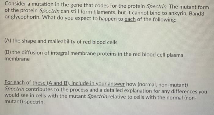 Consider a mutation in the gene that codes for the | Chegg.com