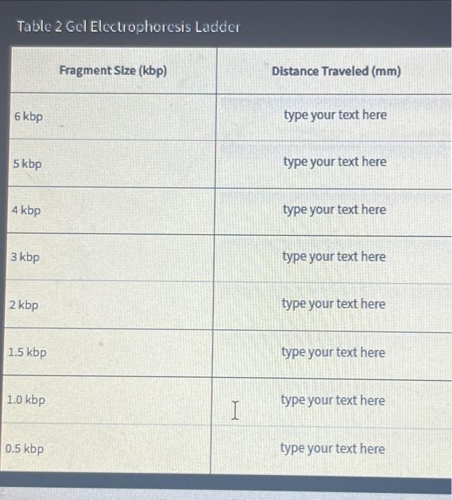 Table 2 Gel Electrophoresis Ladder 6 kbp 5 kbp 4 kbp | Chegg.com