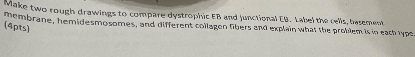Solved Make two rough drawings to compare dystrophic EB and | Chegg.com