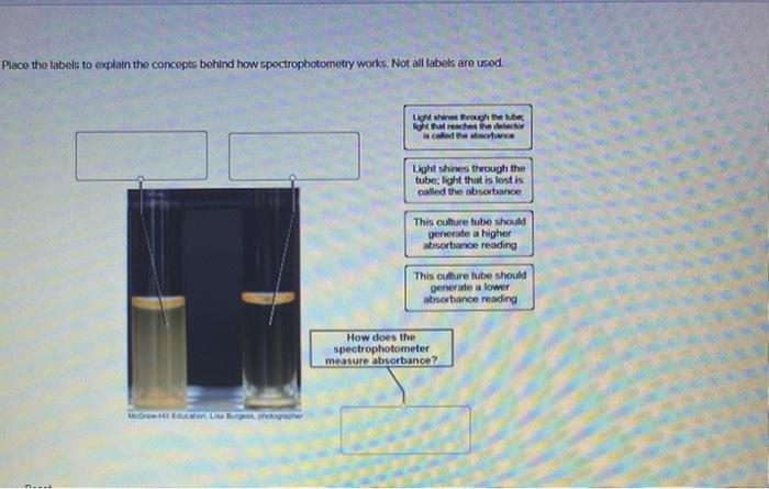 Solved Place the labels to explain the concepts behind how | Chegg.com
