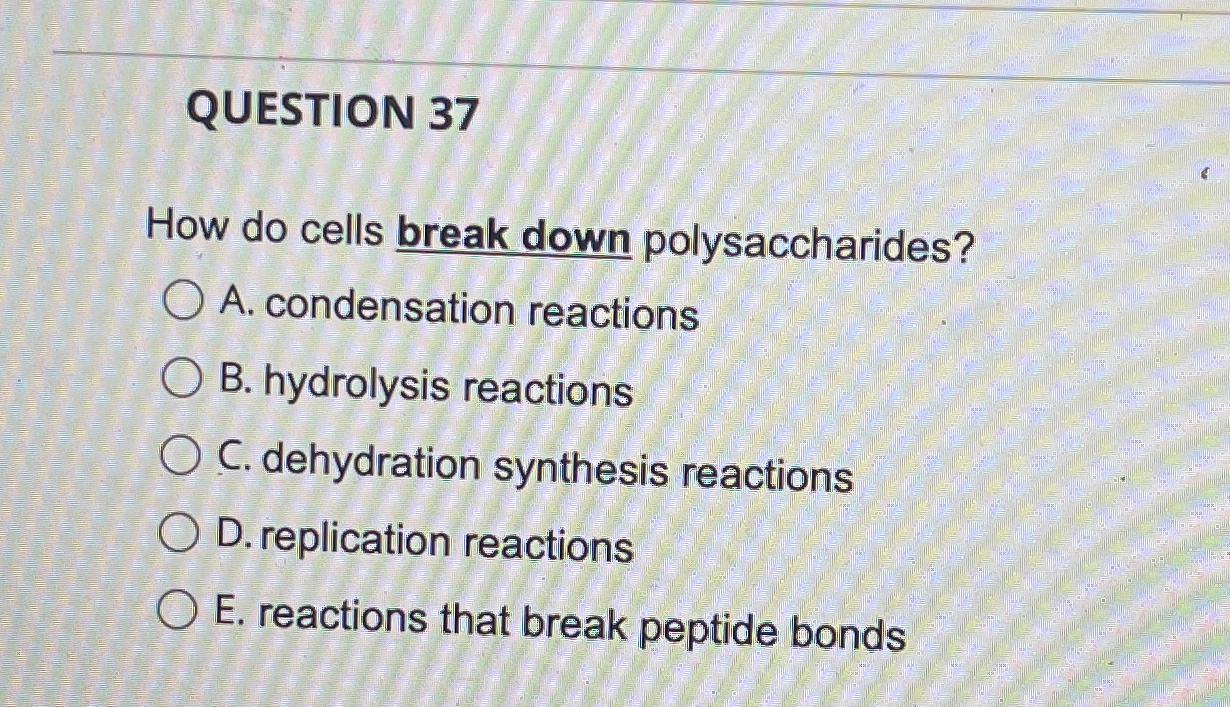 Solved QUESTION 37How do cells break down polysaccharides?A. | Chegg.com